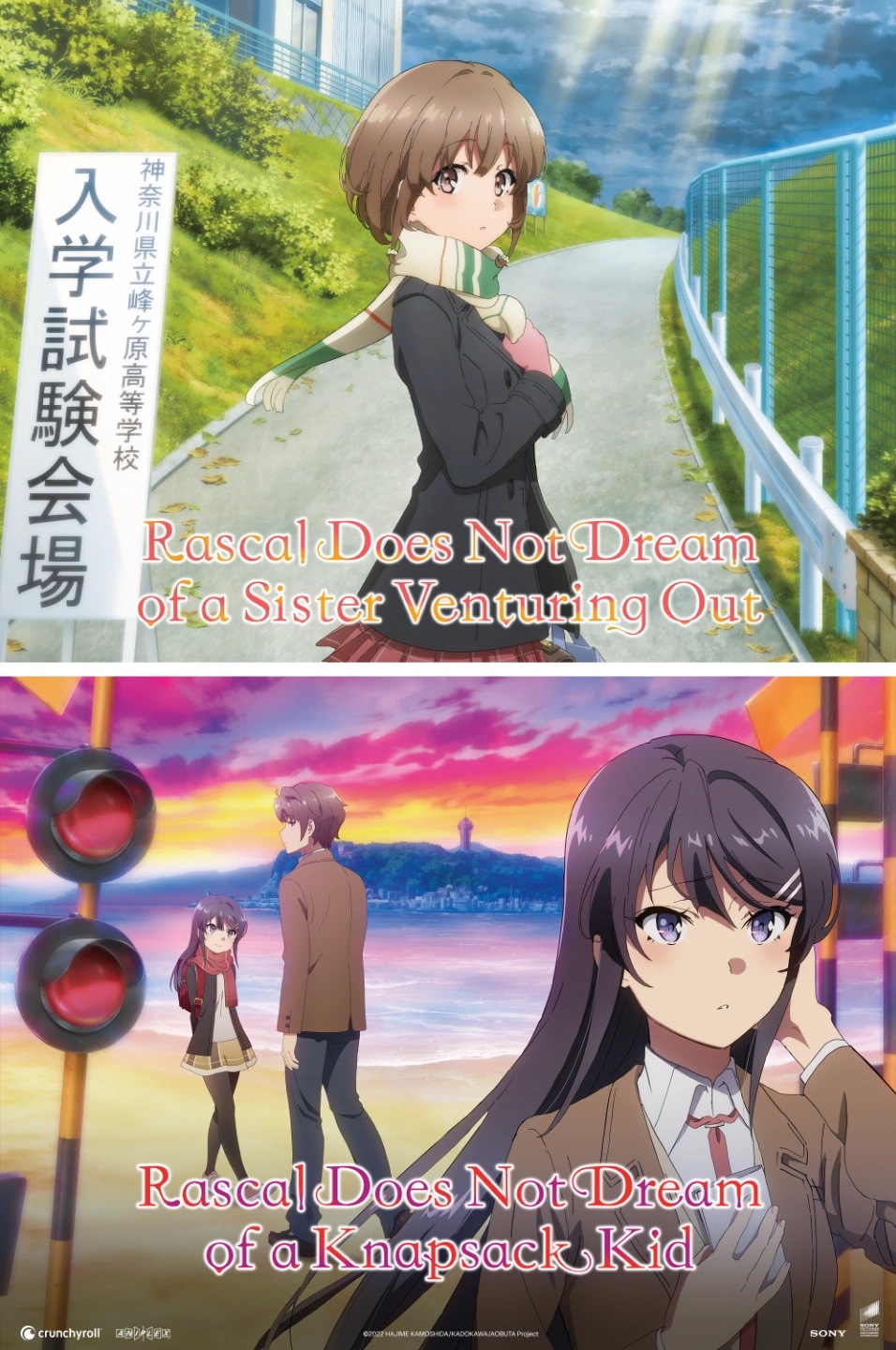 Rascal Does Not Dream sortira en salles le 24 mai - Funeral For A Manga