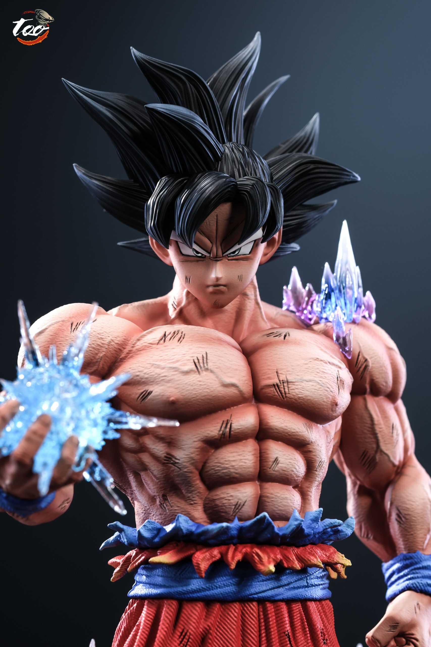 Goku surprend avec une silhouette incroyable – - Funeral For A Manga